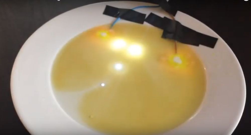 LEDs in Water + 230 V